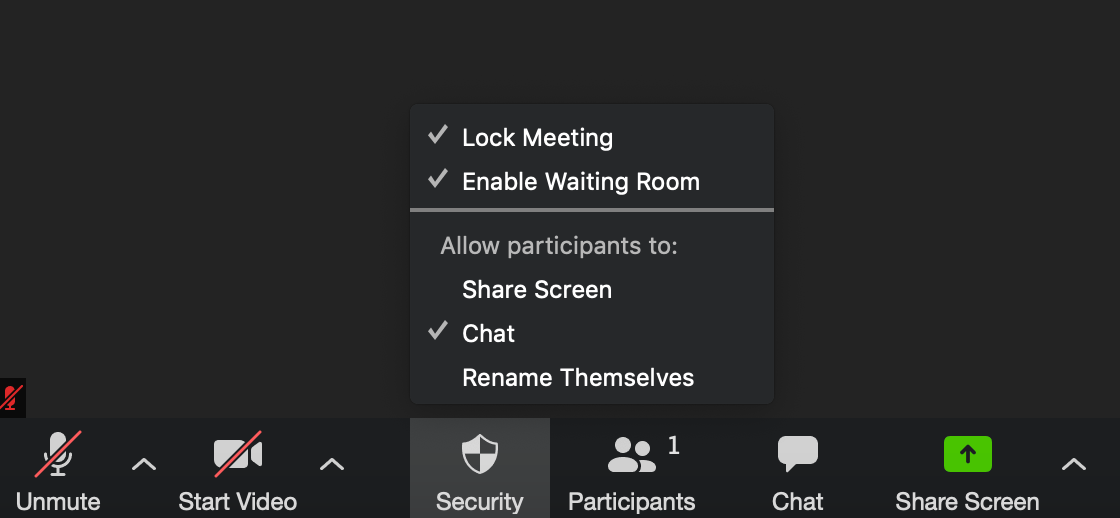 Security Settings for Zoom Meetings - - IT Service Desk